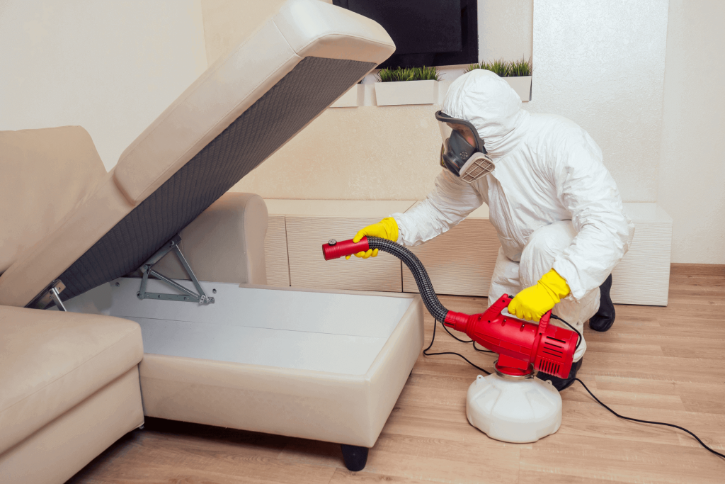 Expert Termite Control Service in Australia | Rose Pet Control