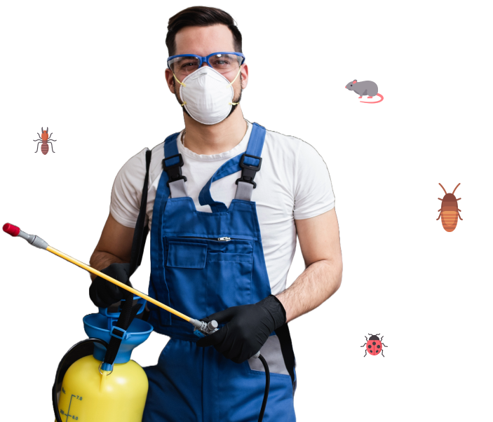 Expert In Pest & Termite Control Narrabri Moree| Rose Pest Control